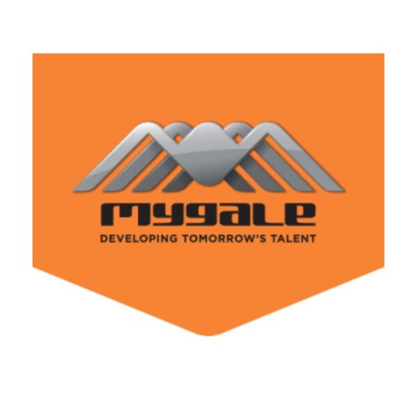 Mygale : Histoire de la marque française aux monoplaces